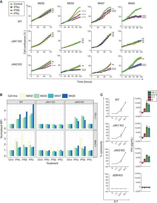 Overcoming Genetically Based Resistance Mechanisms to PD-1 Blockade ...