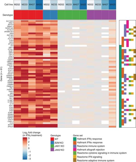 Overcoming Genetically Based Resistance Mechanisms to PD-1 Blockade ...