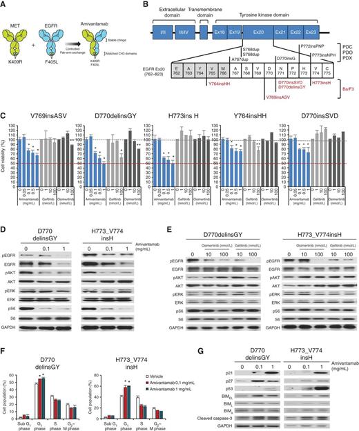 Antitumor Activity of Amivantamab (JNJ-61186372), an EGFR–MET ...