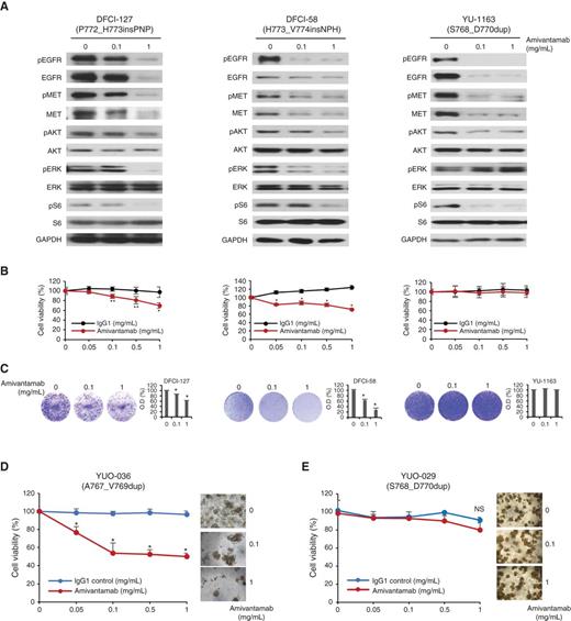 Antitumor Activity of Amivantamab (JNJ-61186372), an EGFR–MET ...