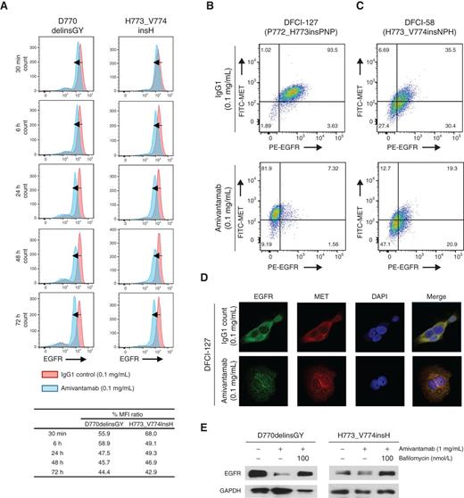 Antitumor Activity of Amivantamab (JNJ-61186372), an EGFR–MET ...