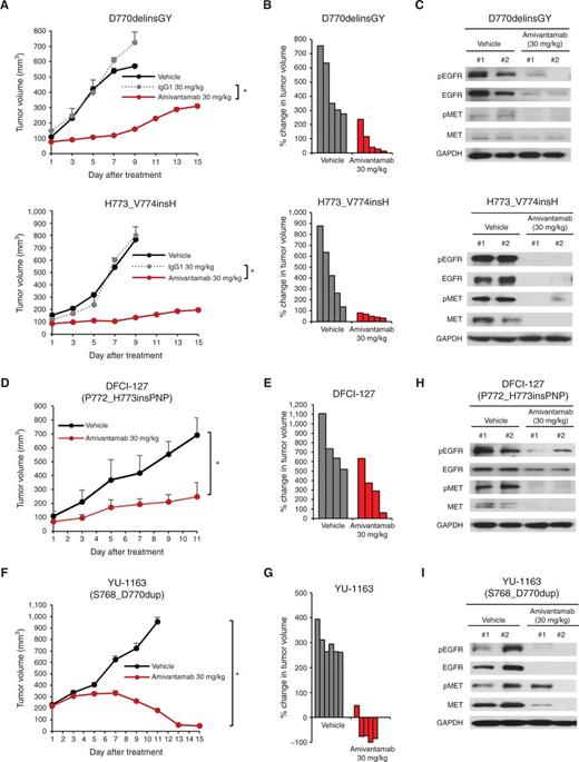 Antitumor Activity of Amivantamab (JNJ-61186372), an EGFR–MET ...