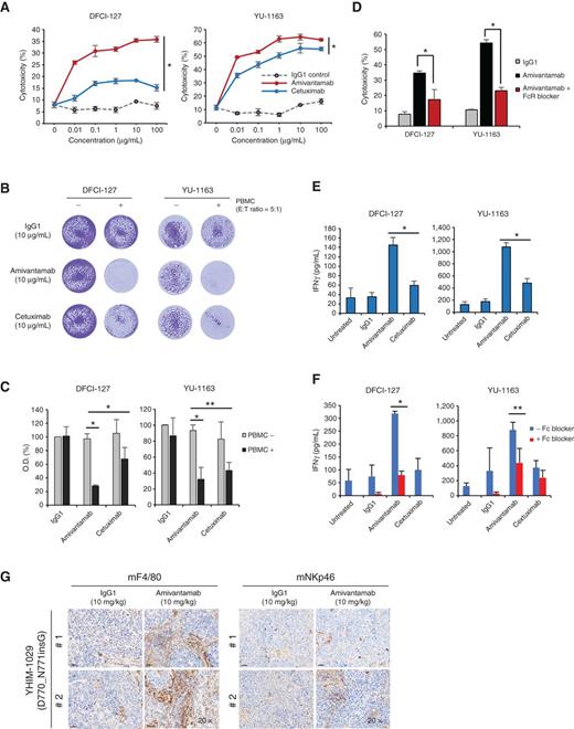 Antitumor Activity of Amivantamab (JNJ-61186372), an EGFR–MET ...