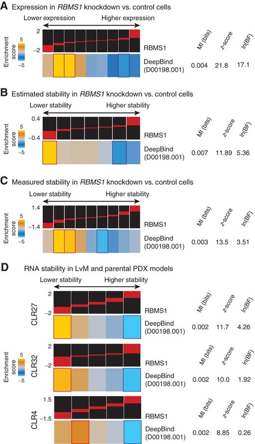 RBMS1 Suppresses Colon Cancer Metastasis through Targeted Stabilization ...