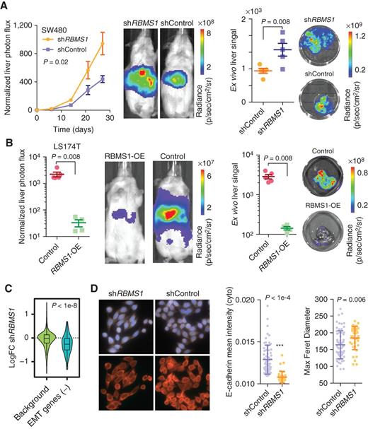RBMS1 Suppresses Colon Cancer Metastasis through Targeted Stabilization ...