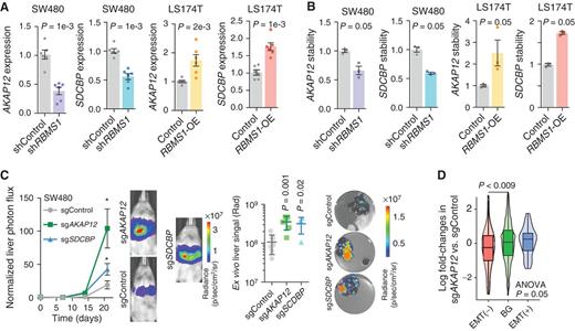 RBMS1 Suppresses Colon Cancer Metastasis through Targeted Stabilization ...