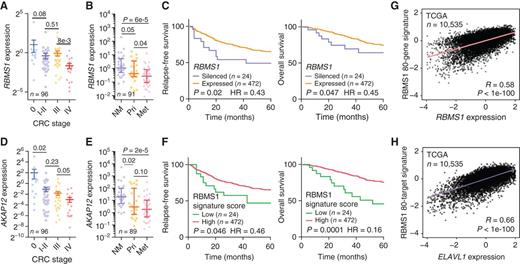 RBMS1 Suppresses Colon Cancer Metastasis through Targeted Stabilization ...