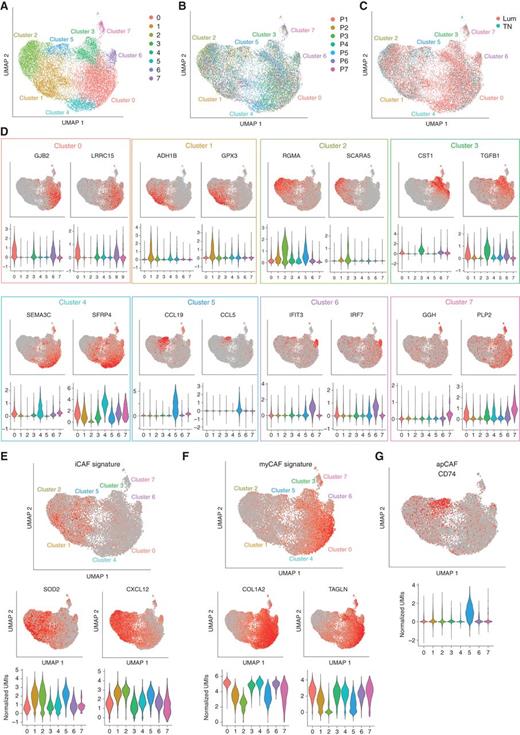 Single-Cell Analysis Reveals Fibroblast Clusters Linked to ...