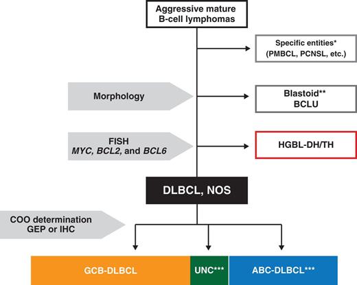 Toward a New Molecular Taxonomy of Diffuse Large B-cell Lymphoma ...