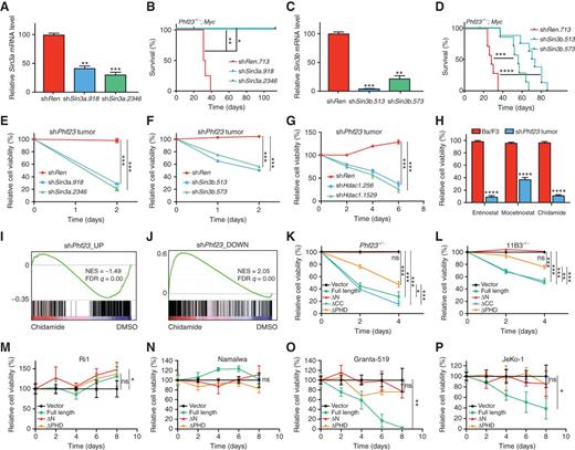 An Epigenetic Mechanism Underlying Chromosome 17p Deletion–Driven ...