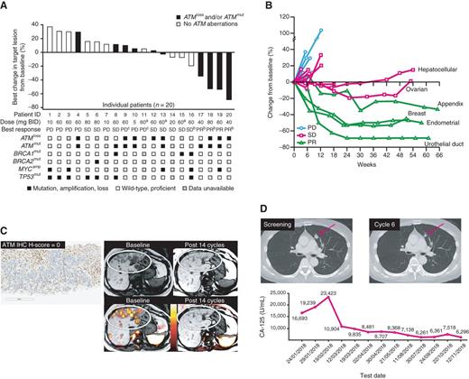 First-in-Human Trial of the Oral Ataxia Telangiectasia and RAD3-Related ...