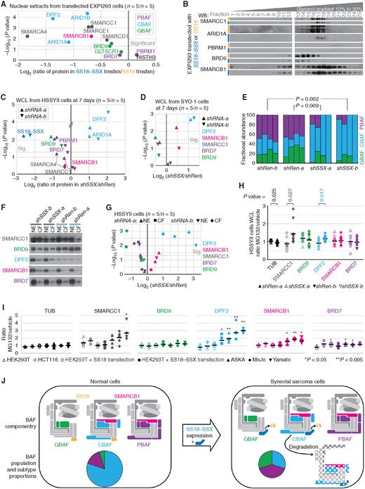 A Role for SMARCB1 in Synovial Sarcomagenesis Reveals That SS18–SSX ...