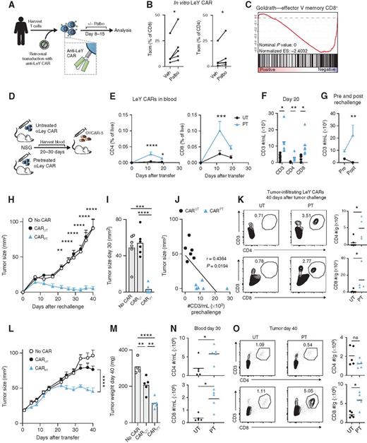 CDK4/6 Inhibition Promotes Antitumor Immunity through the Induction of ...