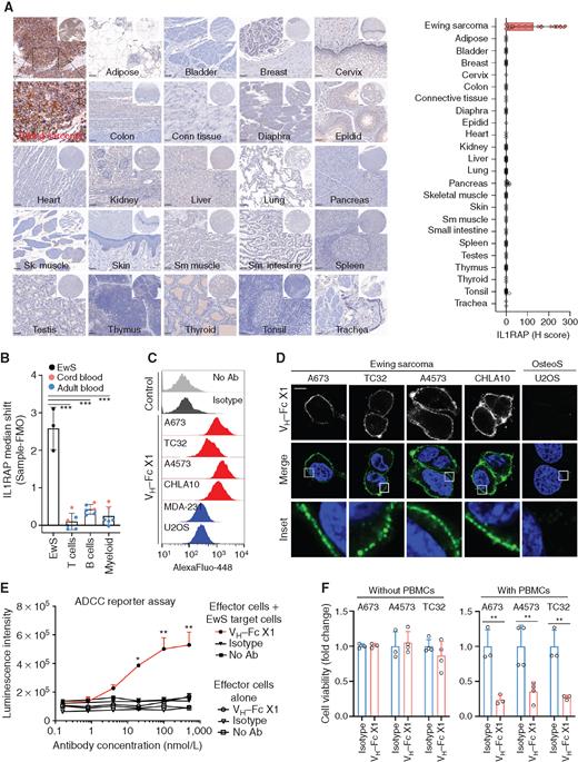 Proteomic Screens for Suppressors of Anoikis Identify IL1RAP as a ...