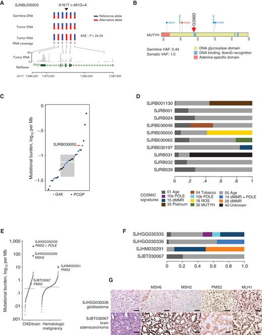 Genomes for Kids: The Scope of Pathogenic Mutations in Pediatric Cancer ...