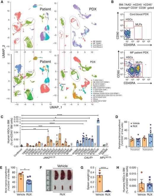 A Humanized Animal Model Predicts Clonal Evolution and Therapeutic ...