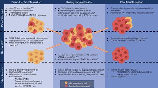 A Tale of Two Histologies: Dissecting the Biology of Lineage ...
