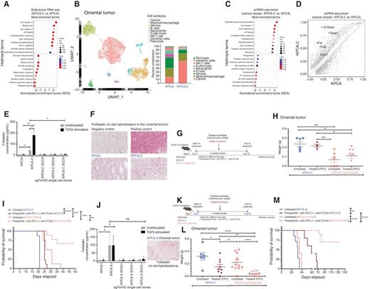 Genetically Defined Syngeneic Mouse Models of Ovarian Cancer as Tools ...