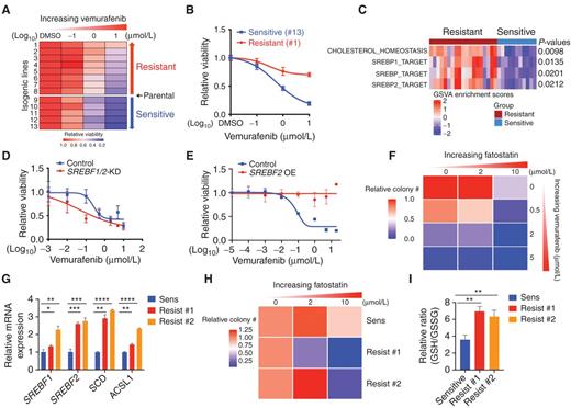 The Lipogenic Regulator SREBP2 Induces Transferrin in Circulating ...