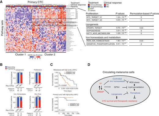 The Lipogenic Regulator SREBP2 Induces Transferrin in Circulating ...