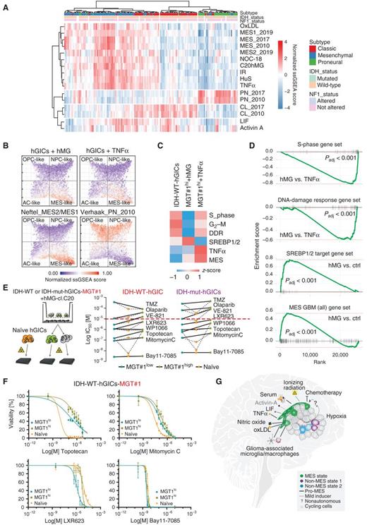 Phenotypic Mapping of Pathologic Cross-Talk between Glioblastoma and ...