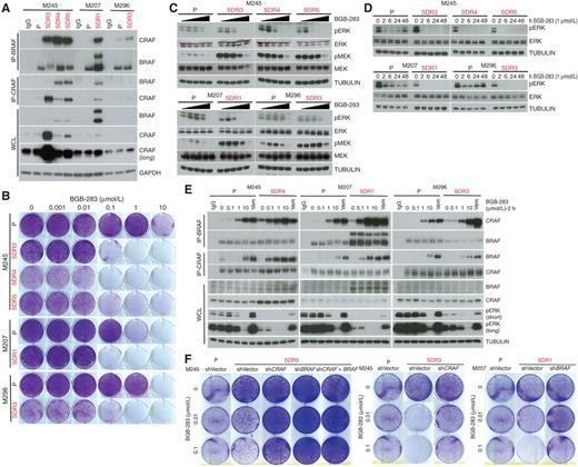 Durable Suppression of Acquired MEK Inhibitor Resistance in Cancer by ...