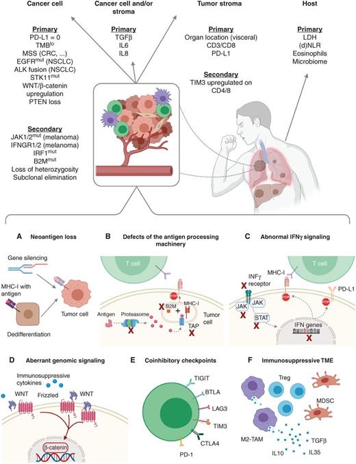 Overcoming Resistance to Tumor-Targeted and Immune-Targeted Therapies ...