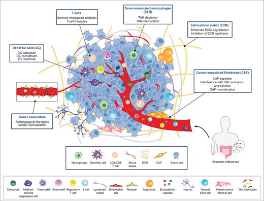 Therapeutic Targeting of the Tumor Microenvironment | Cancer Discovery ...