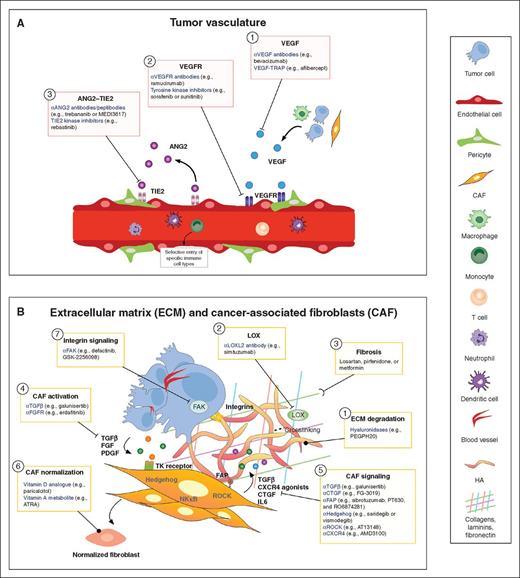Therapeutic Targeting of the Tumor Microenvironment | Cancer Discovery ...