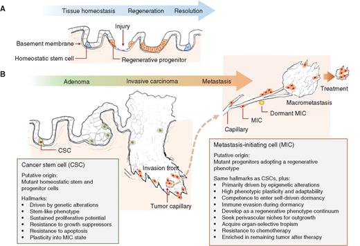 Metastasis-Initiating Cells and Ecosystems | Cancer Discovery ...