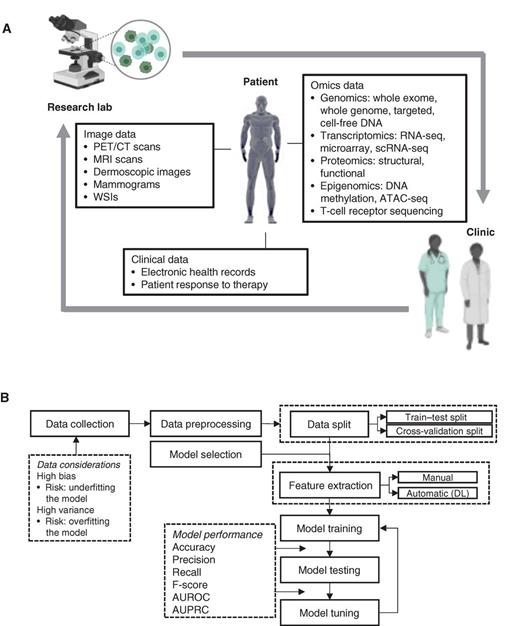 Artificial Intelligence in Cancer Research and Precision Medicine ...