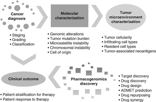 Artificial Intelligence in Cancer Research and Precision Medicine ...