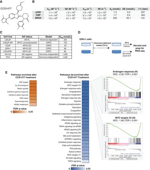 Targeting the p300/CBP Axis in Lethal Prostate Cancer | Cancer ...