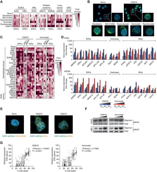 Endogenous Retroelement Activation by Epigenetic Therapy Reverses the ...