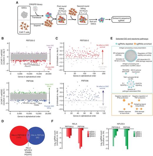 CRISPR Screening of CAR T Cells and Cancer Stem Cells Reveals Critical ...