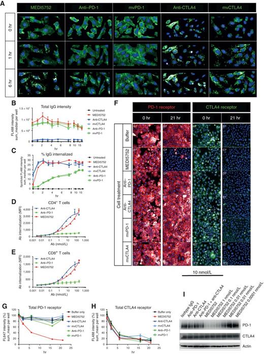 Design and Efficacy of a Monovalent Bispecific PD-1/CTLA4 Antibody That ...