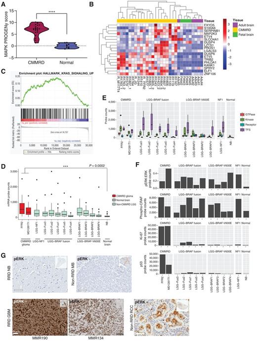 Mutations in the RAS/MAPK Pathway Drive Replication Repair–Deficient ...
