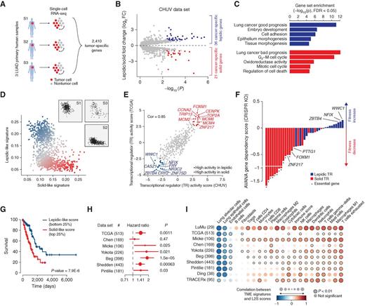 Nongenetic Evolution Drives Lung Adenocarcinoma Spatial Heterogeneity ...
