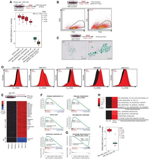 Chemotherapy Induces Senescence-Like Resilient Cells Capable of ...