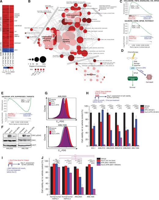 Chemotherapy Induces Senescence-Like Resilient Cells Capable of ...