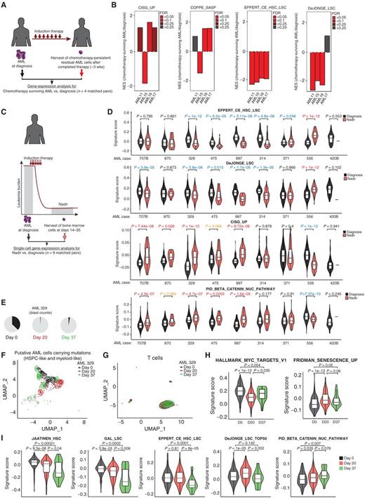 Chemotherapy Induces Senescence-Like Resilient Cells Capable of ...