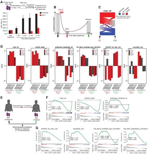 Chemotherapy Induces Senescence-Like Resilient Cells Capable of ...