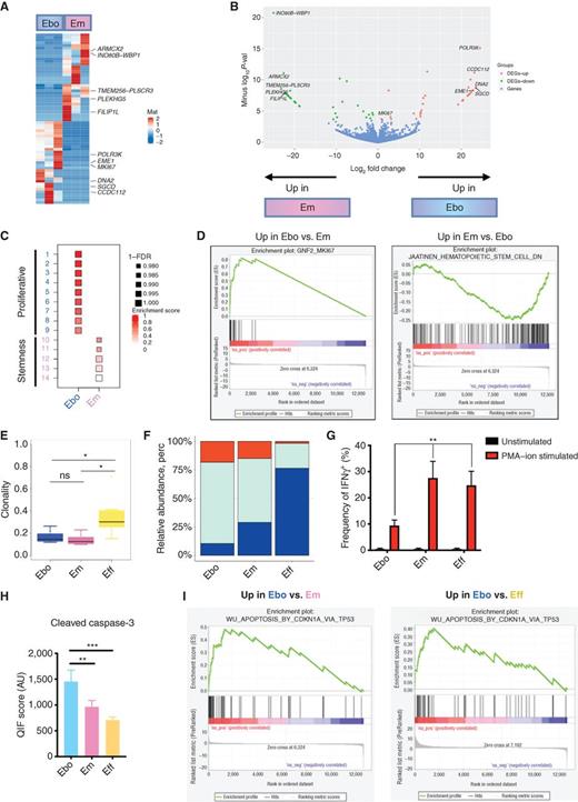 A Burned-Out CD8+ T-cell Subset Expands in the Tumor Microenvironment ...