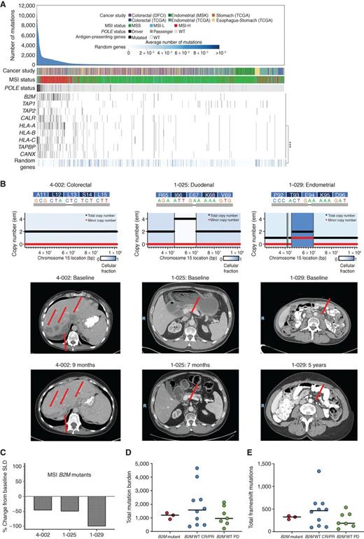 CD4 T Cell–Dependent Rejection of Beta-2 Microglobulin Null Mismatch ...