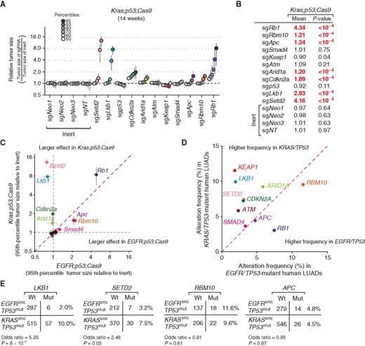 Genetic Determinants of EGFR-Driven Lung Cancer Growth and Therapeutic ...