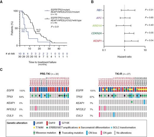 Genetic Determinants of EGFR-Driven Lung Cancer Growth and Therapeutic ...