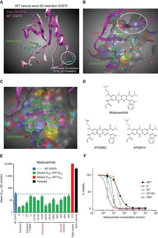 Mobocertinib (TAK-788): A Targeted Inhibitor of EGFR Exon 20 Insertion ...