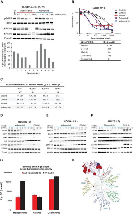 Mobocertinib (TAK-788): A Targeted Inhibitor of EGFR Exon 20 Insertion ...