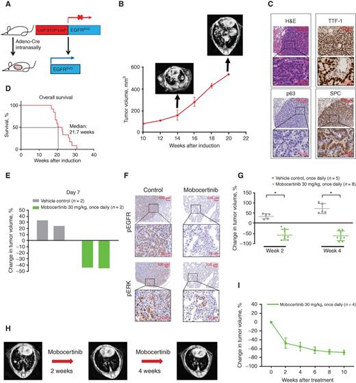 Mobocertinib (TAK-788): A Targeted Inhibitor of EGFR Exon 20 Insertion ...