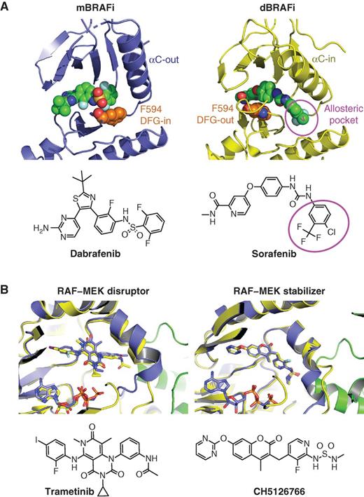 Triple Therapy to Outwit the BRAF Oncogene | Cancer Discovery ...